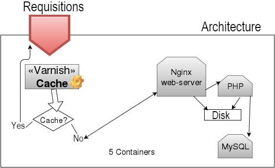 Docker Container and WordPress - Nestify