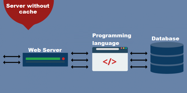 What is Cache and Why is it Important for your Website Hosting